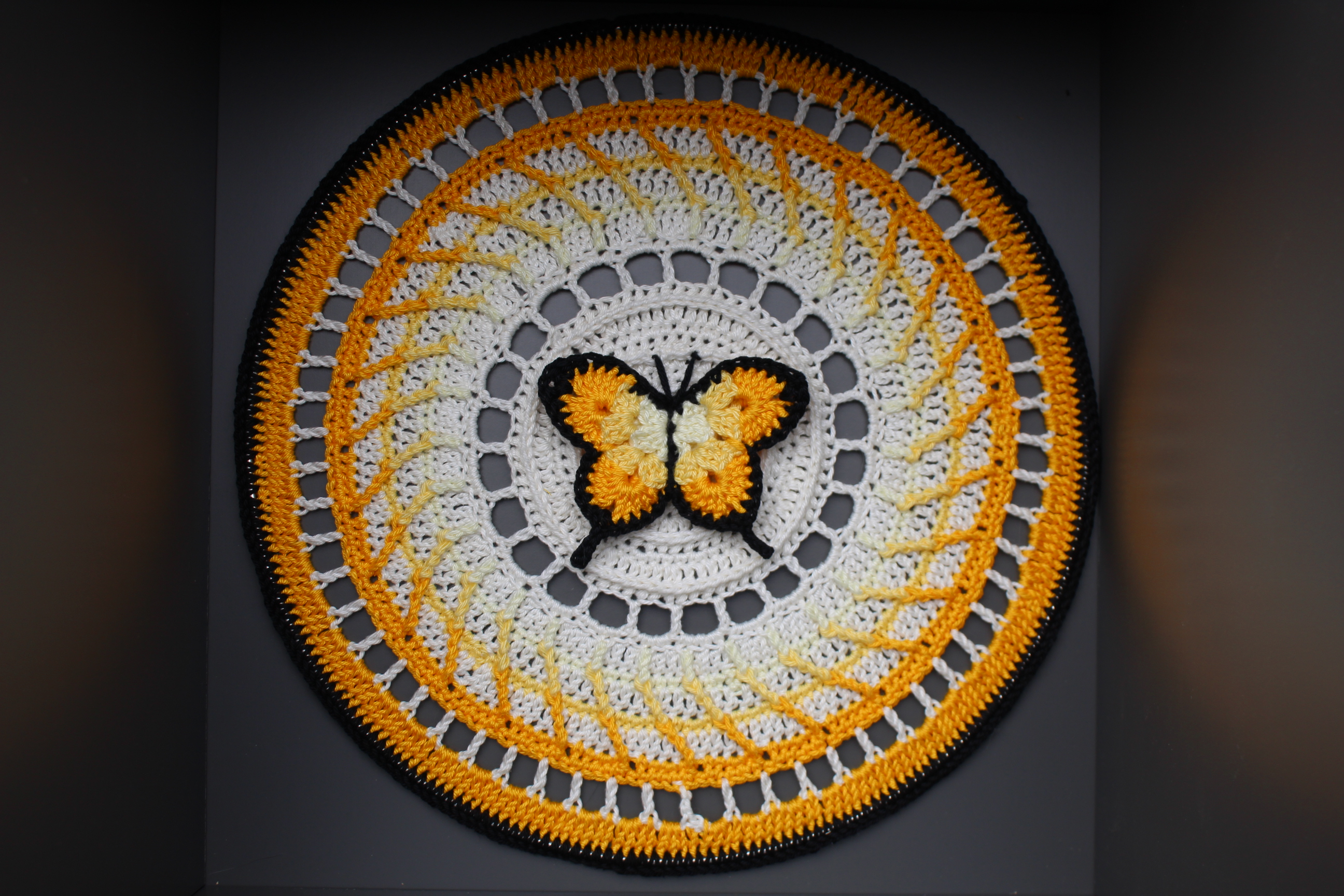 Morpho Mania pattern out now…